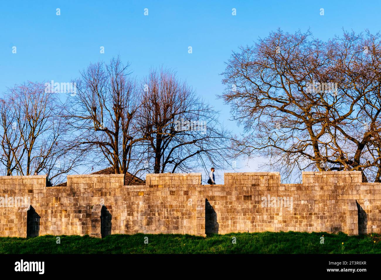 View of the York city walls at sunset in early spring. York, since ...