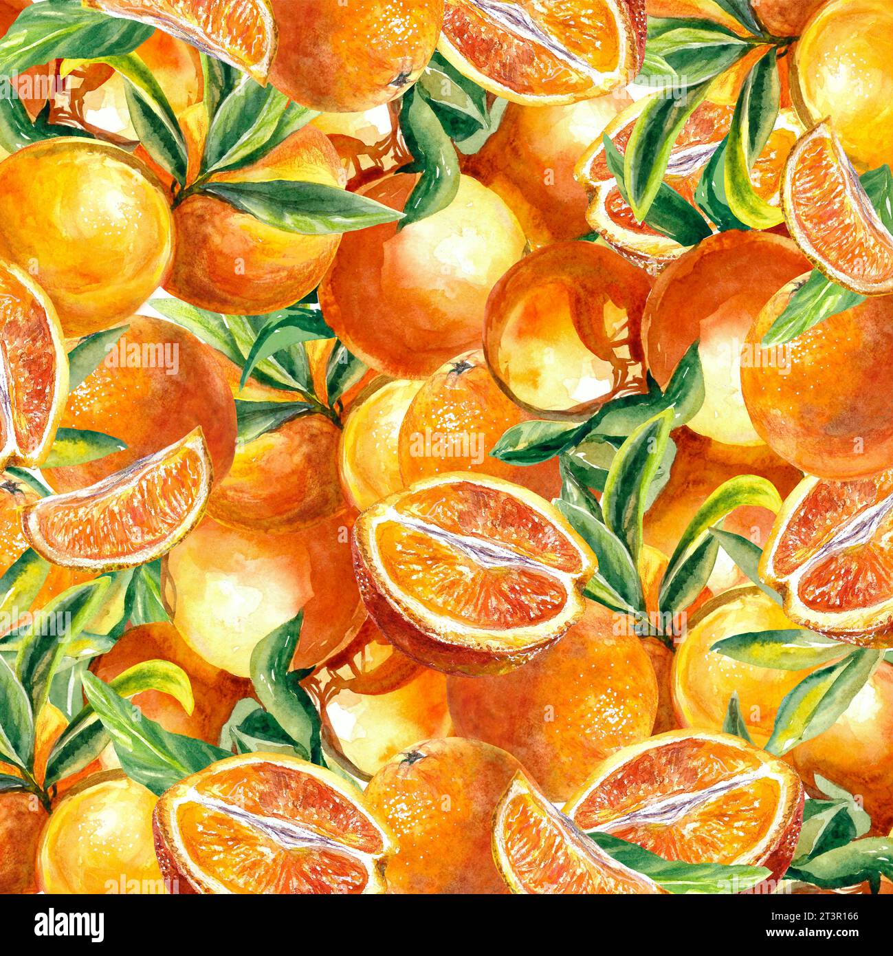Bright and juicy orange fruits, slices and leaves. Watercolor ...