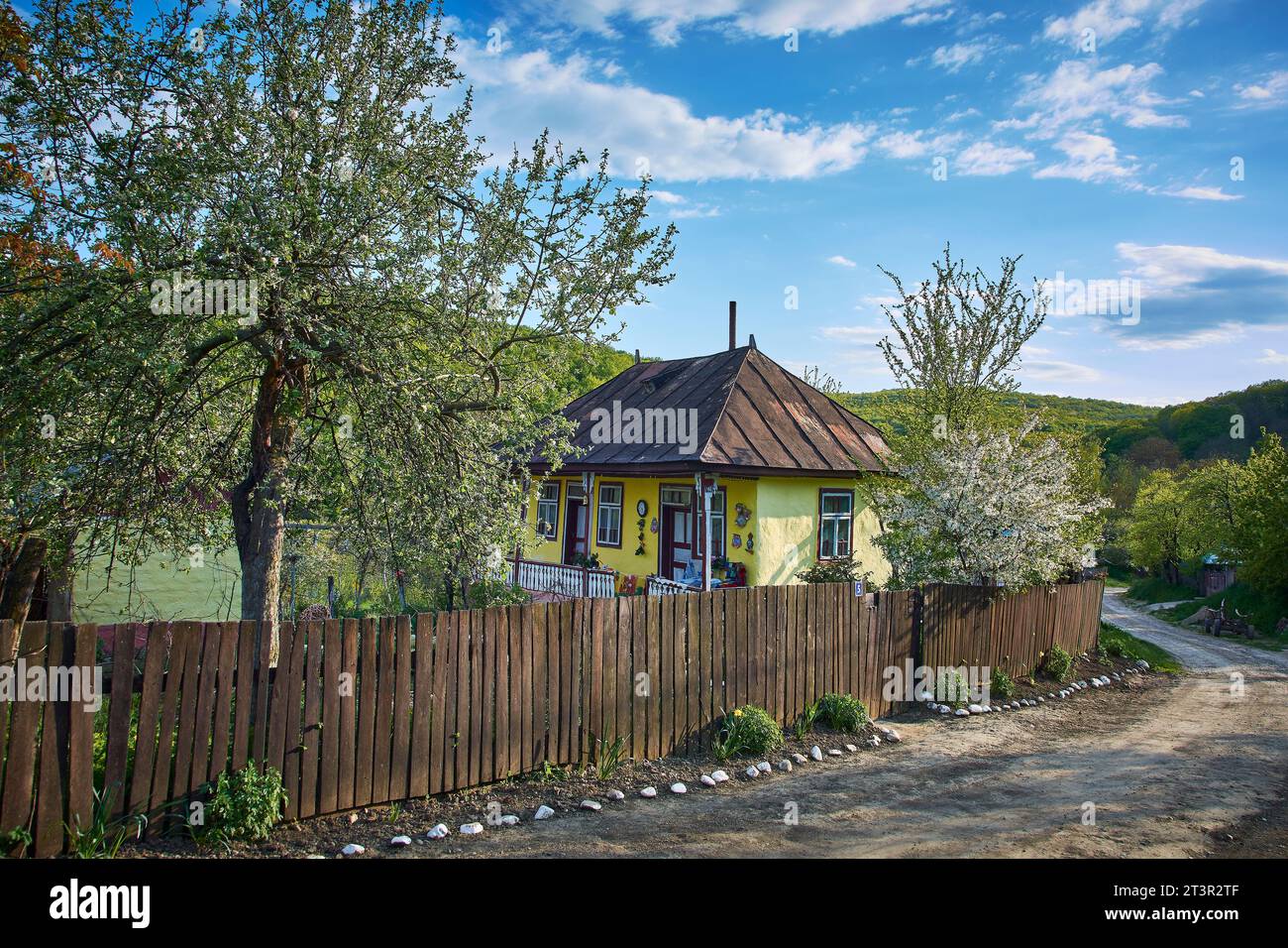 the beautiful house in the country with flowering trees in spring in ...