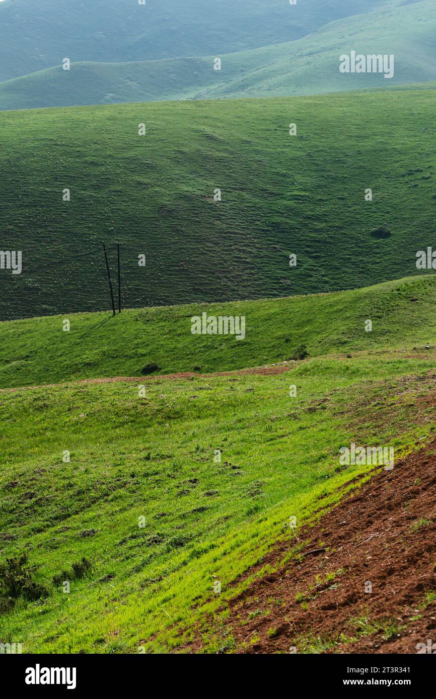 Grassland scenery hi-res stock photography and images - Alamy