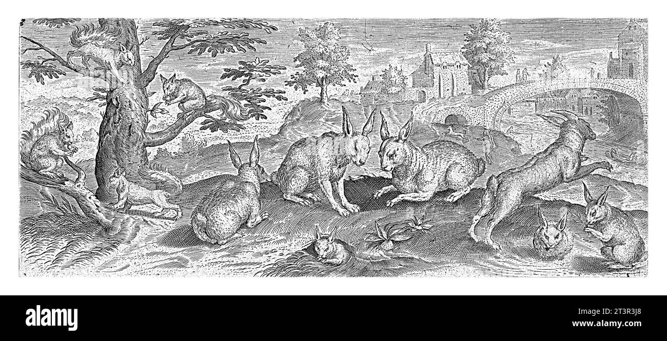 Squirrels and rabbits, Abraham de Bruyn, 1583, squirrels and rabbits in ...