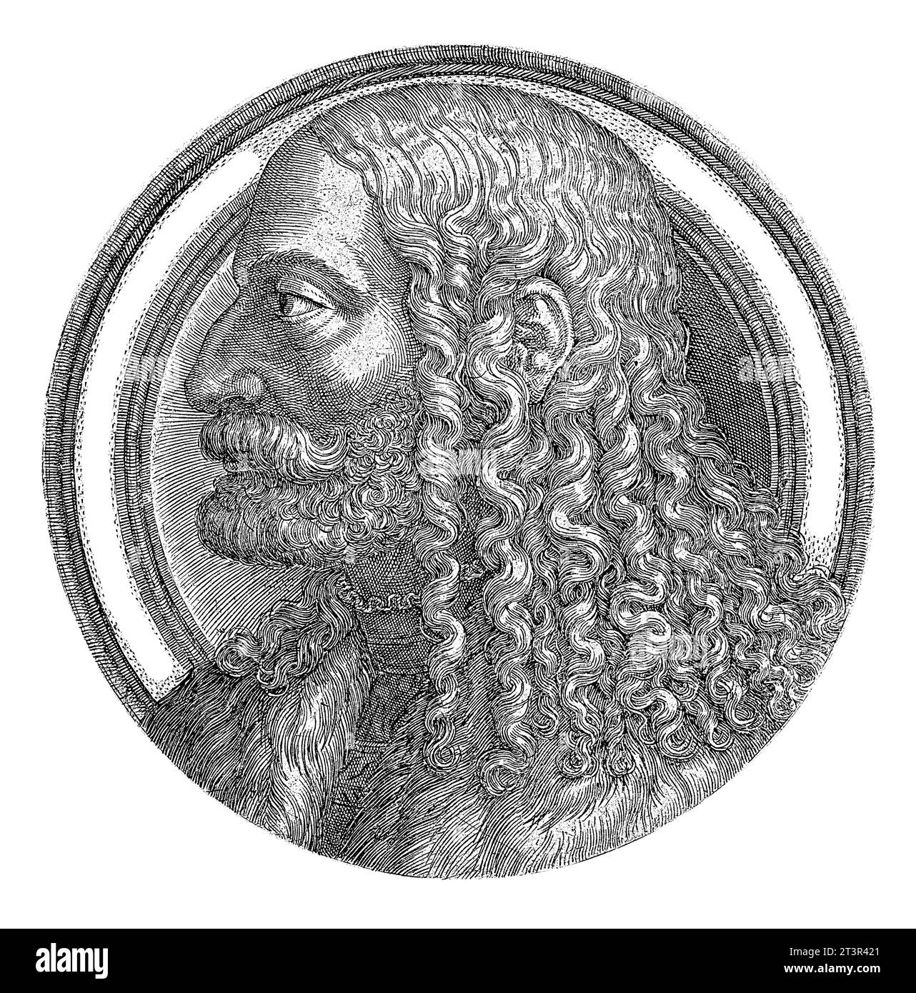 Lambertus suavius Black and White Stock Photos & Images - Alamy