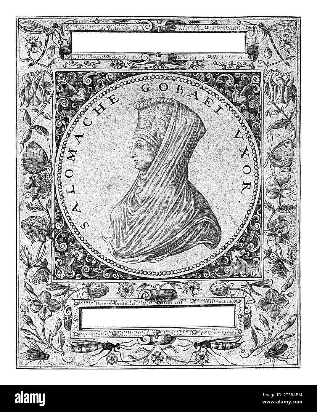 Portrait of the Sultan Salomache, Theodor de Bry, after Jean Jacques ...