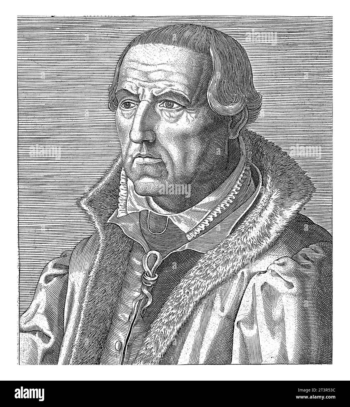 Musius Cut Out Stock Images & Pictures - Alamy