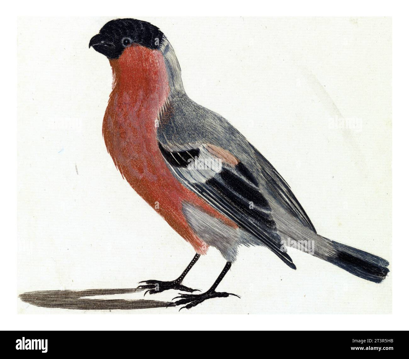 Old anonymous drawing Cut Out Stock Images & Pictures - Alamy