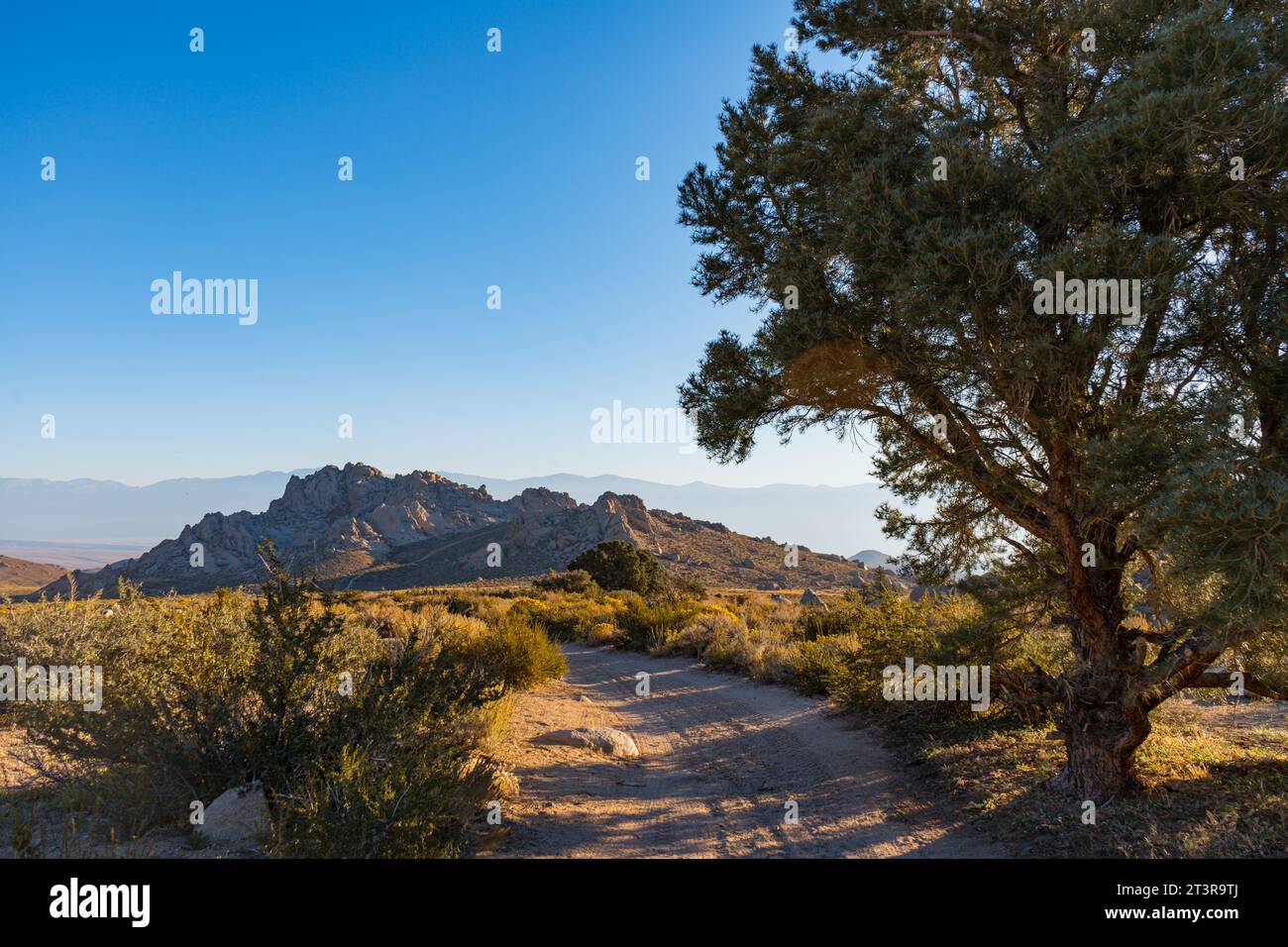 Views of Buttermilk Country at the foothills of the Sierra Nevada ...