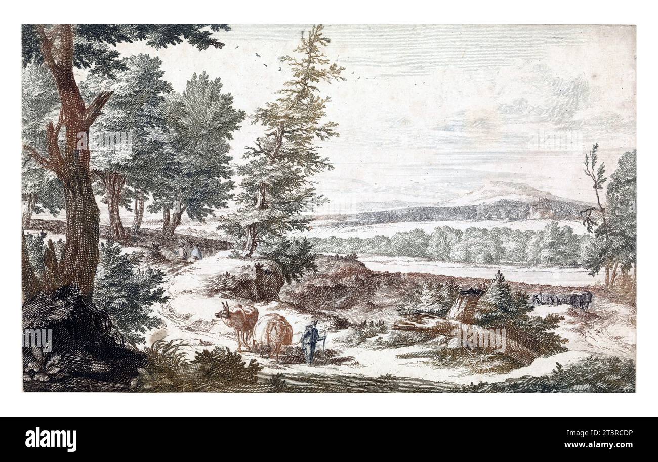 Pack donkeys on a road hi-res stock photography and images - Alamy