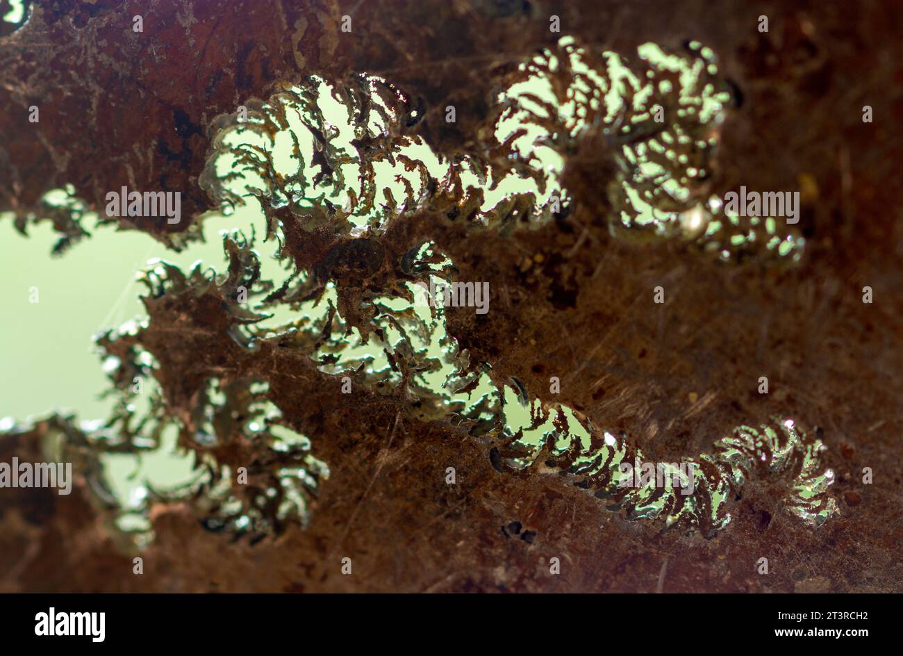 corroded stainless steel Stock Photo - Alamy