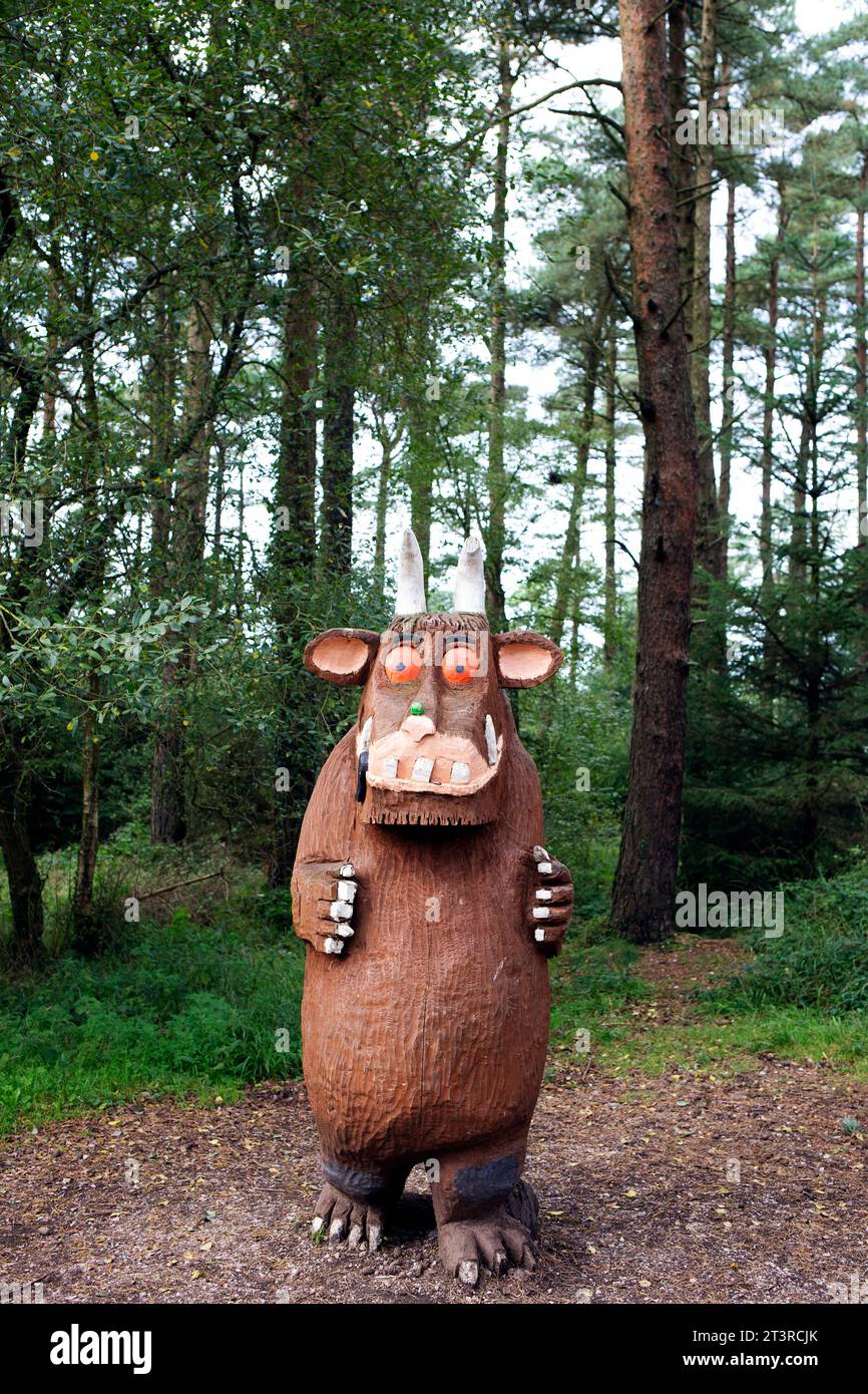 Haldon Forest in Devon Stock Photo - Alamy