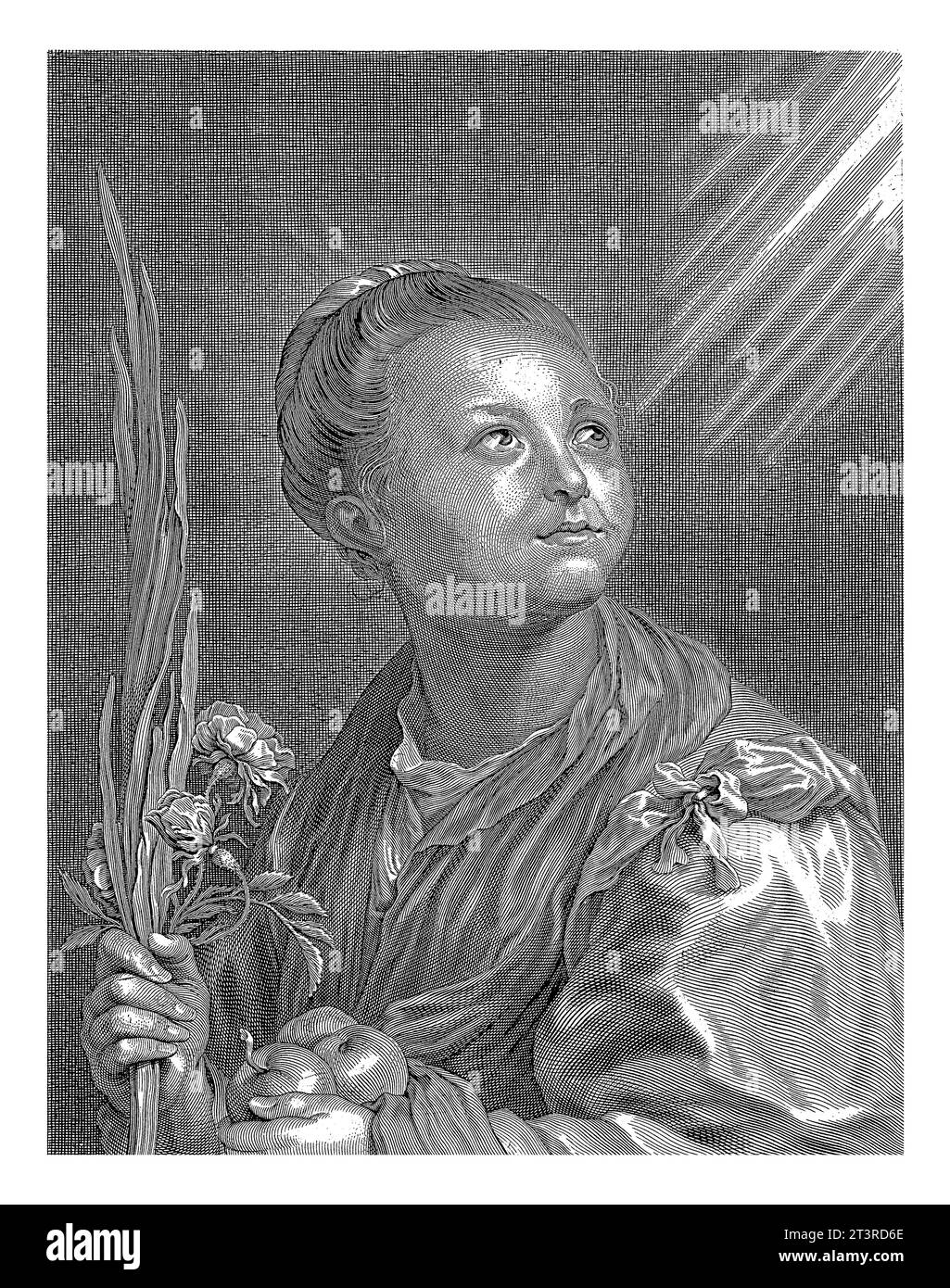 H dorothea Cut Out Stock Images & Pictures - Alamy