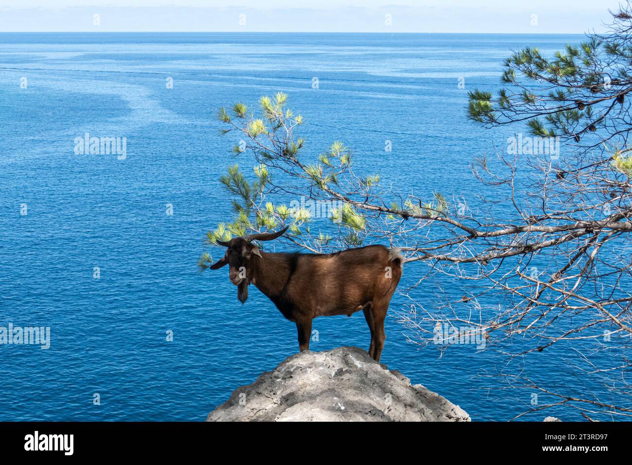 Bay of sa calobra hi-res stock photography and images - Alamy