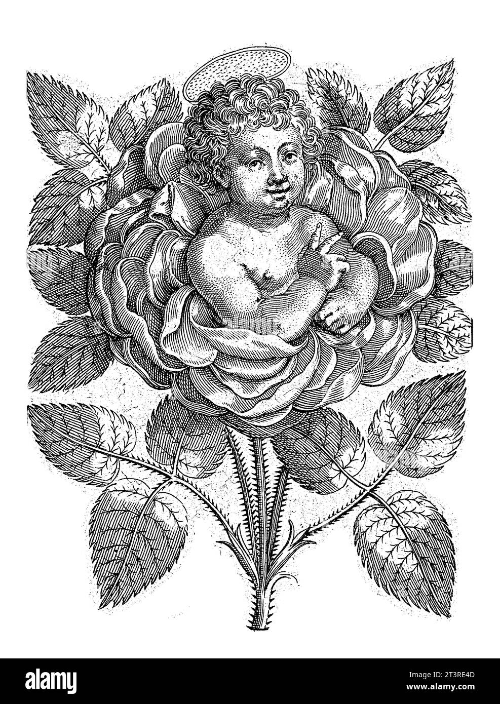 The Christ Child emerges from a rose, Wierix (possibly), 1550 - 1650 ...