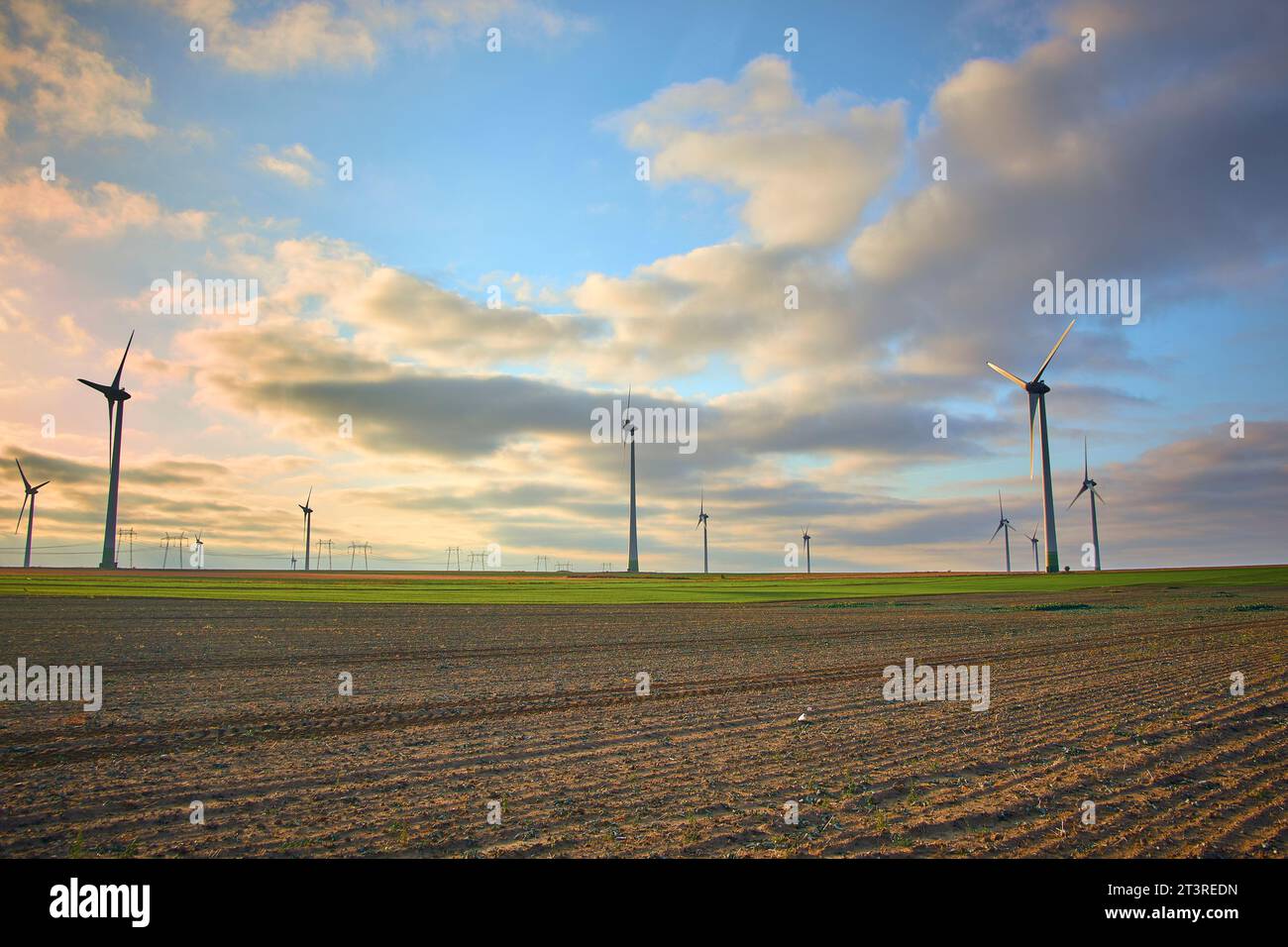 wind farm at sunrise in Romania Stock Photo - Alamy