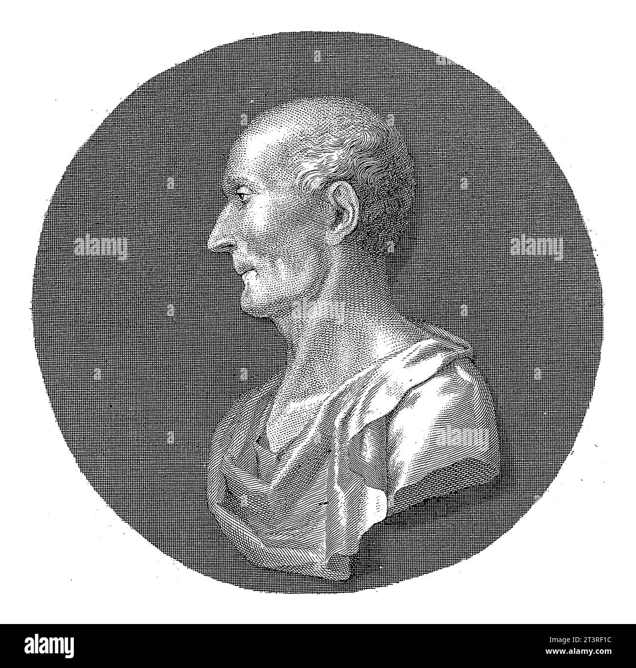 Clarina mosconi hi-res stock photography and images - Alamy