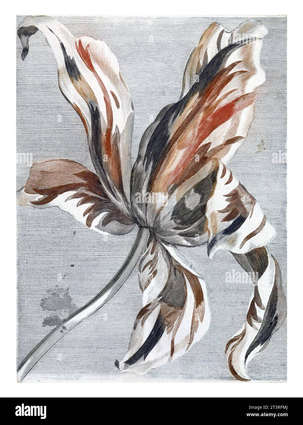 Old anonymous drawing Cut Out Stock Images & Pictures - Alamy