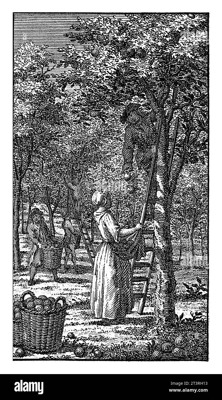 In old orchard Cut Out Stock Images & Pictures - Alamy