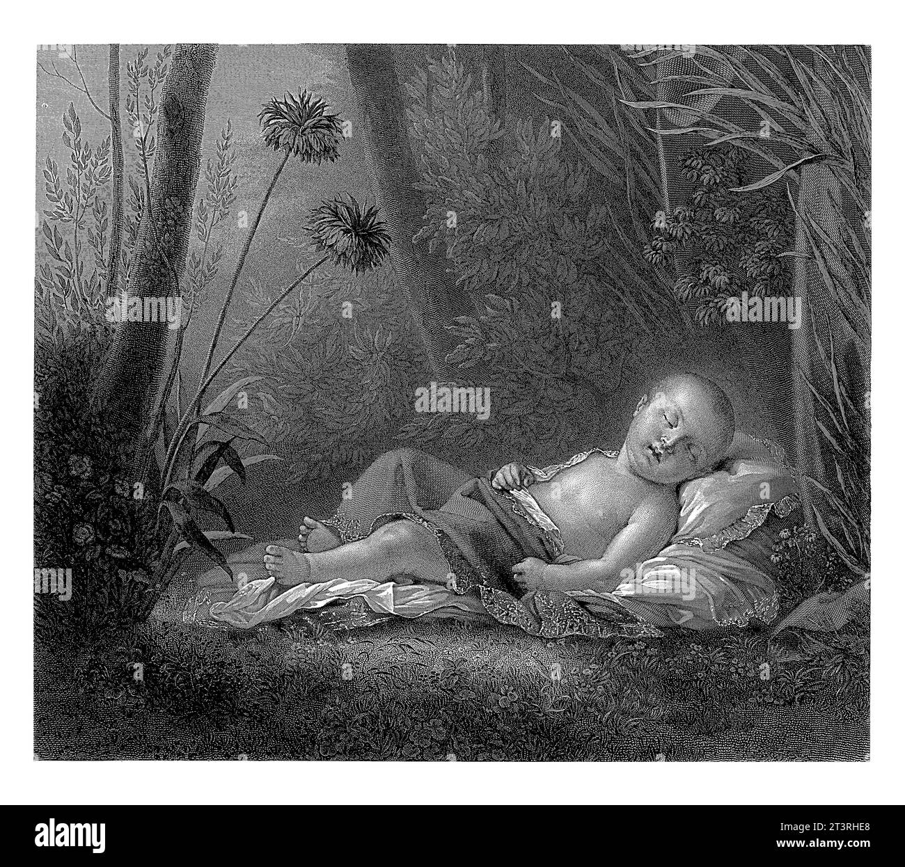 Chalion hi-res stock photography and images - Alamy