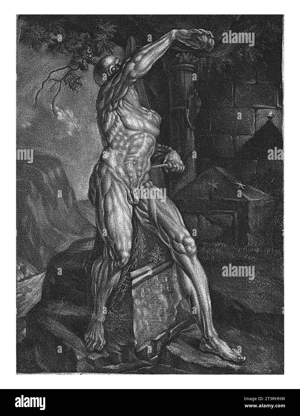 Anatomical representation of a man stabbing himself in the side with a ...