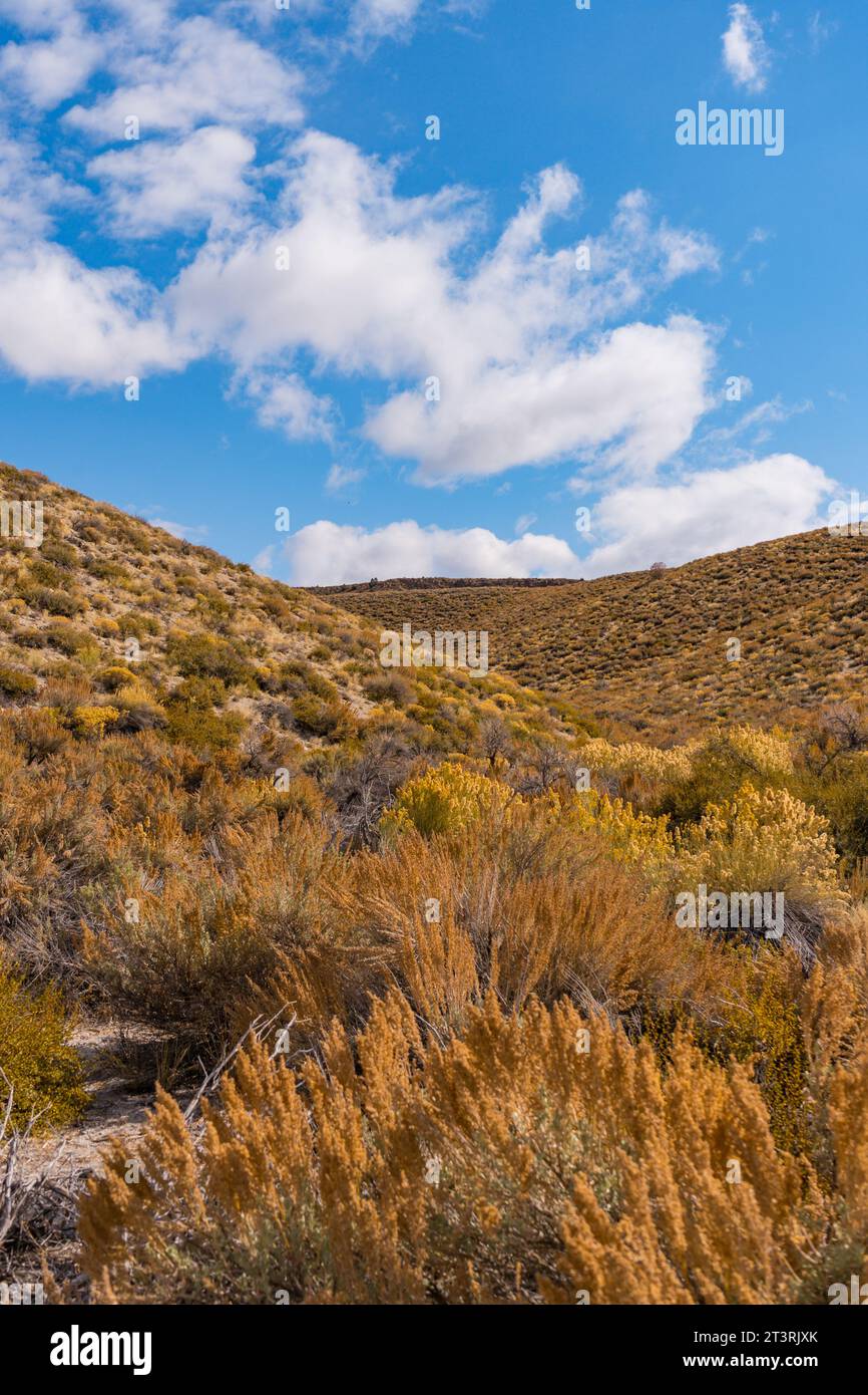 Crowley lake hi-res stock photography and images - Alamy