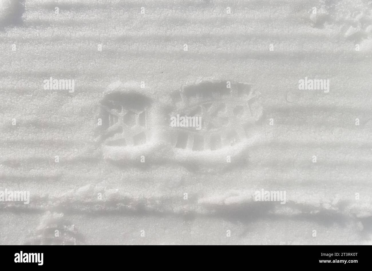 Footprint of a boot in the snow, overhead view Stock Photo - Alamy