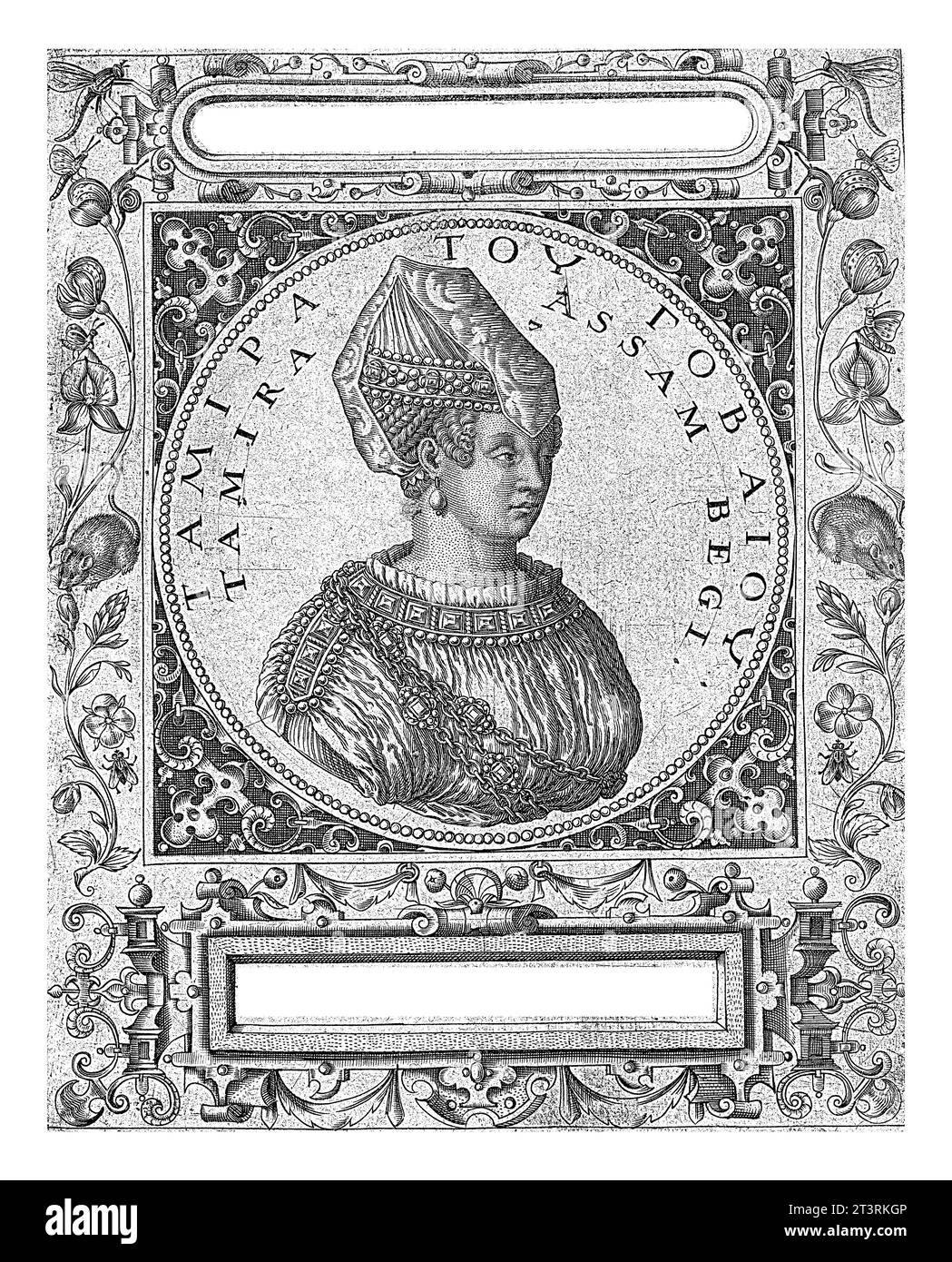 Portrait of the Sultan Tamira, Theodor de Bry, after Jean Jacques ...