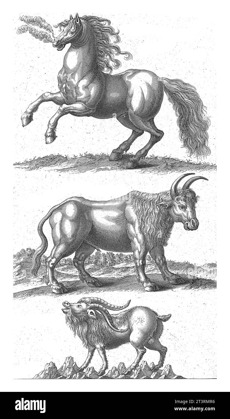 Wild goat engraving Cut Out Stock Images & Pictures - Alamy