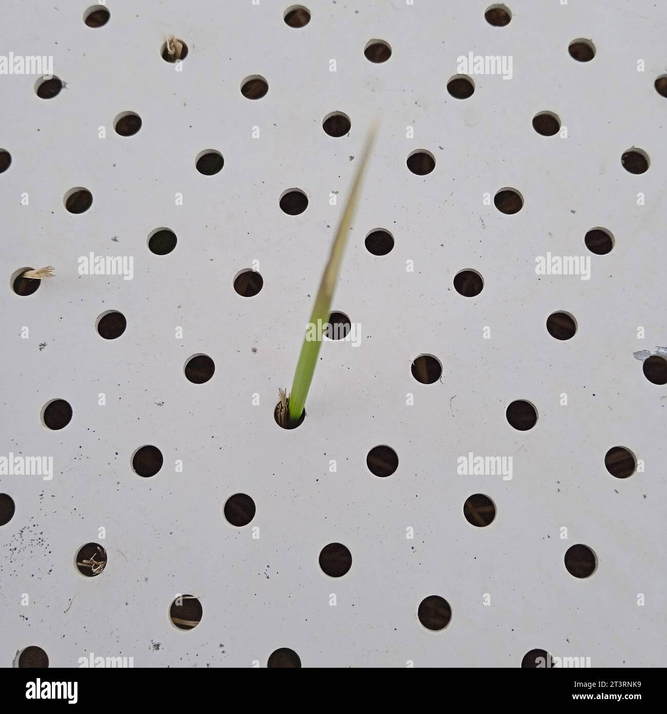 Masse der erde hi-res stock photography and images - Alamy