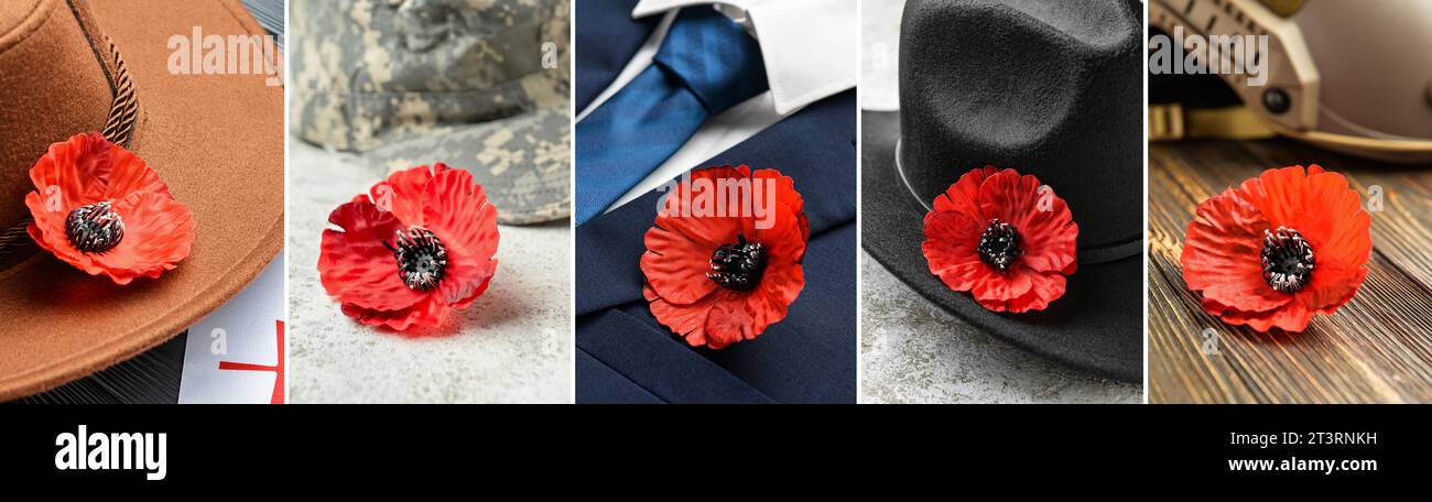 Collage with red poppy flowers. Remembrance Day in Canada Stock Photo ...