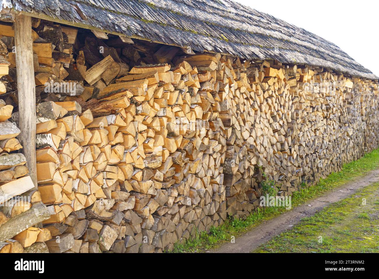 A wooden wall made from firewood stacked under the canopy of an old ...