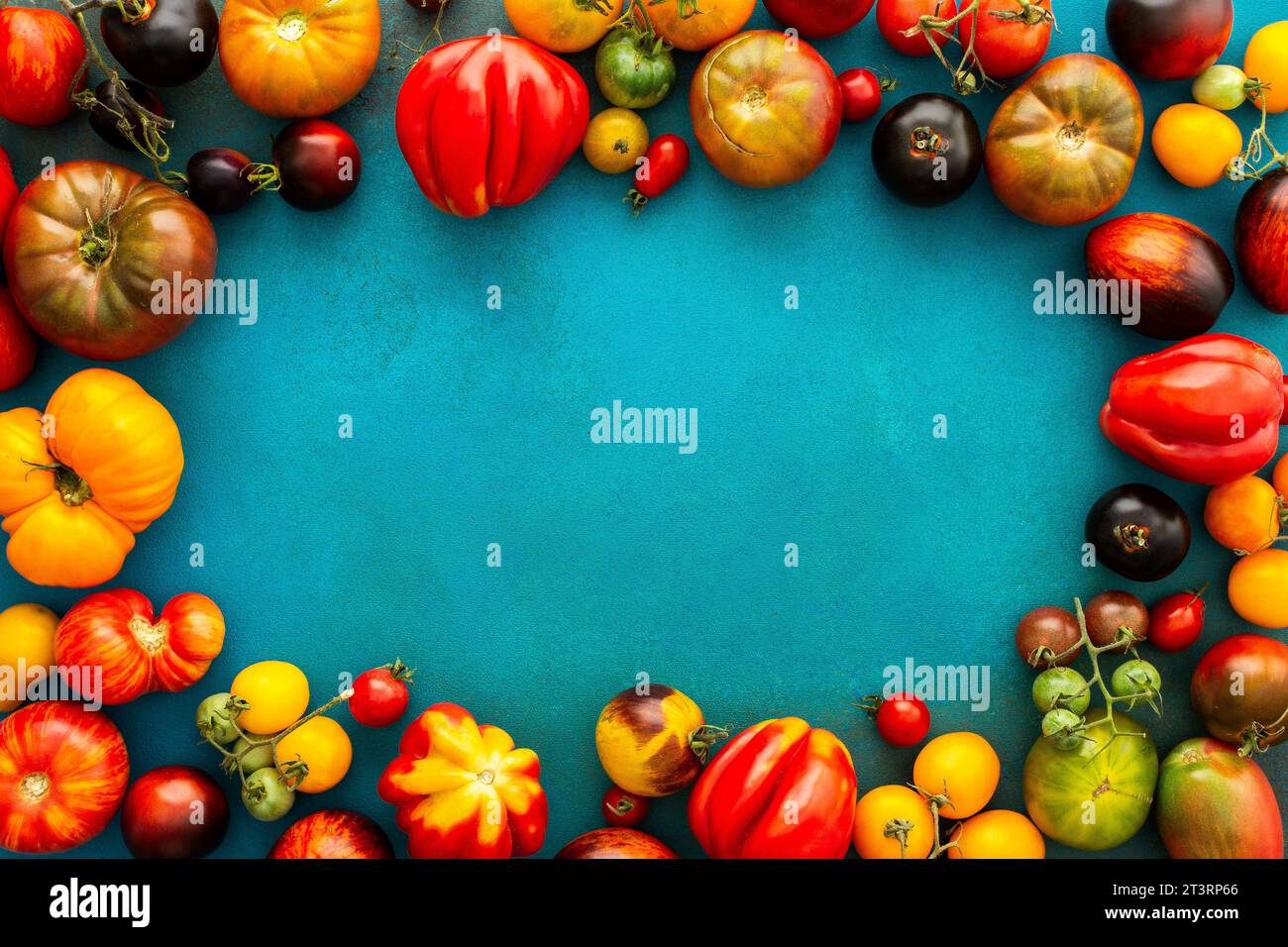 Multi-colored bright ripe tomatoes on an emerald green background ...