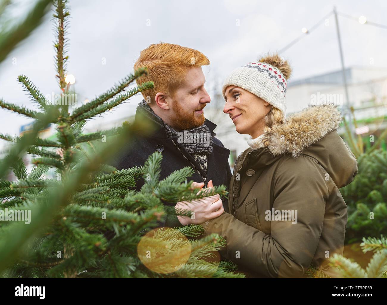Family couple choosing christmas hi-res stock photography and images ...