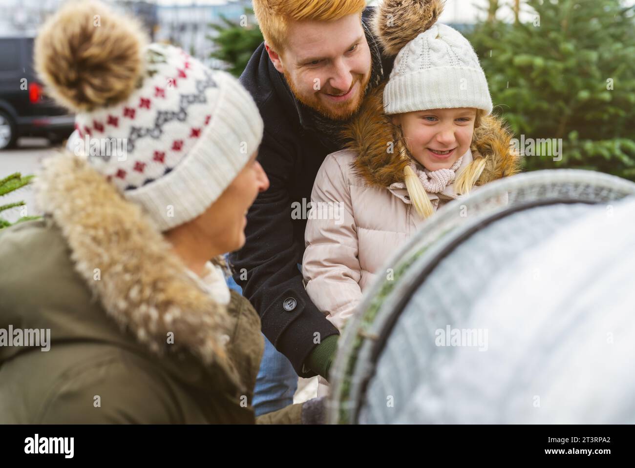 Family pull being wrapped up a cut Christmas tree packed in a plastic ...