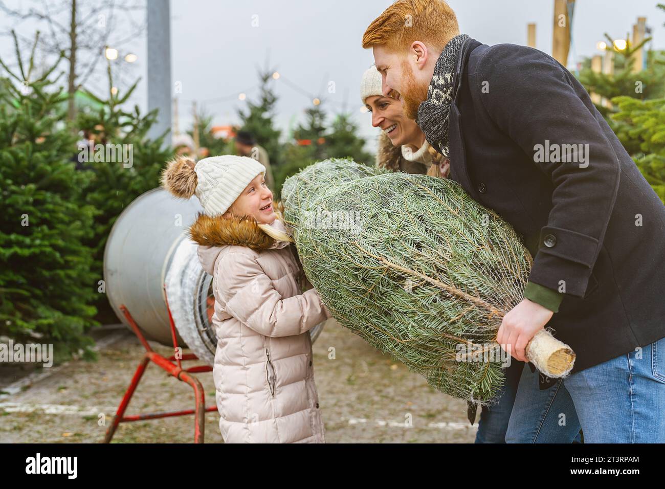 Christmas tree wrapped in net hi-res stock photography and images - Alamy