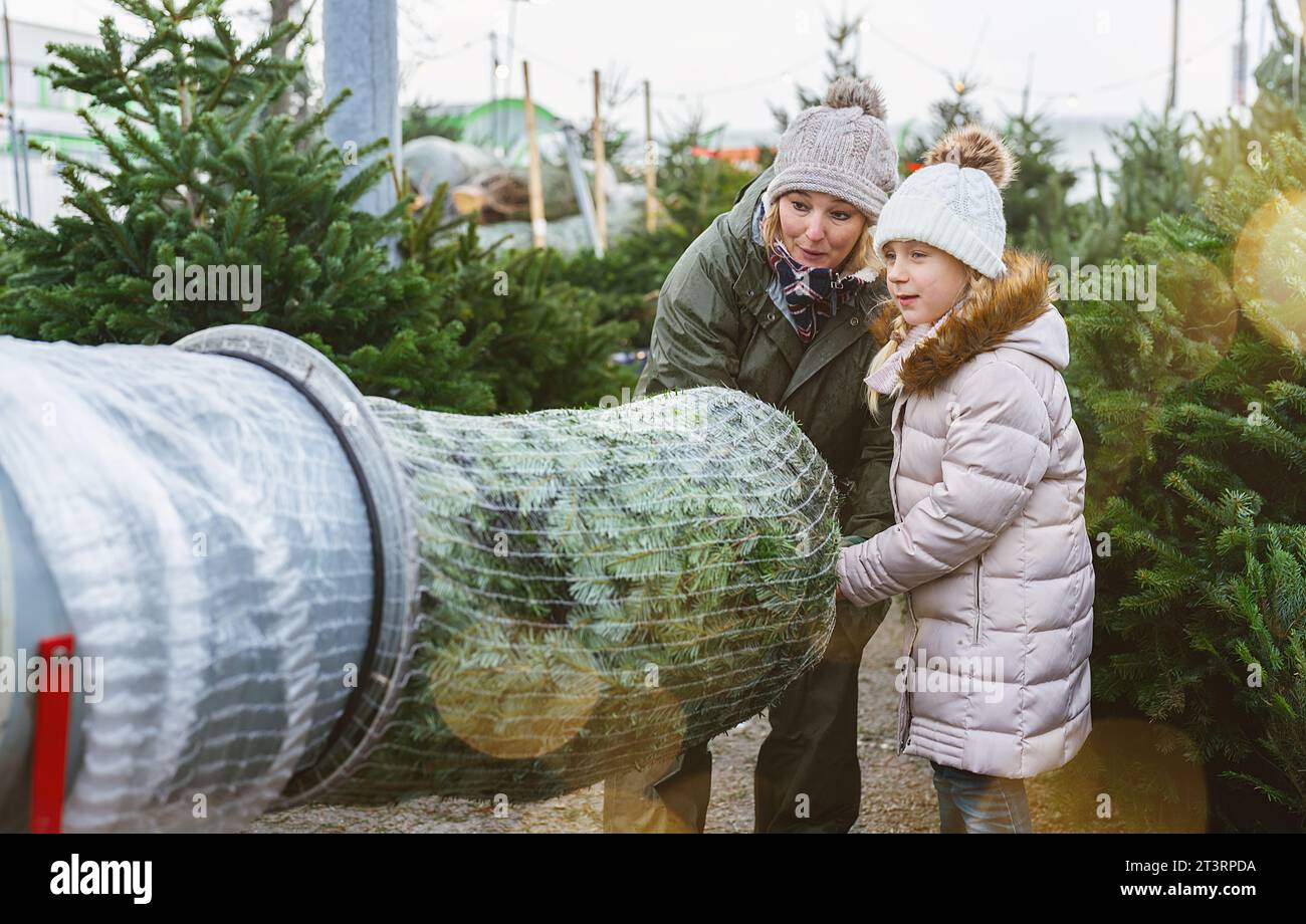 Saleswoman with a child being wrapped up a cut Christmas tree packed in ...