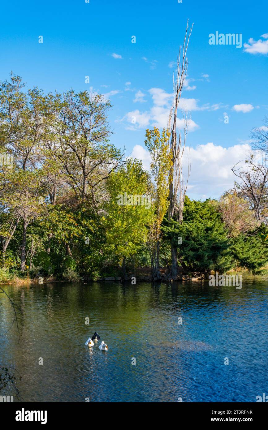Mt whitney fish hatchery hi-res stock photography and images - Alamy
