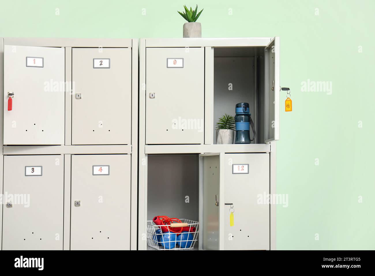 Green wall school plants hi-res stock photography and images - Alamy