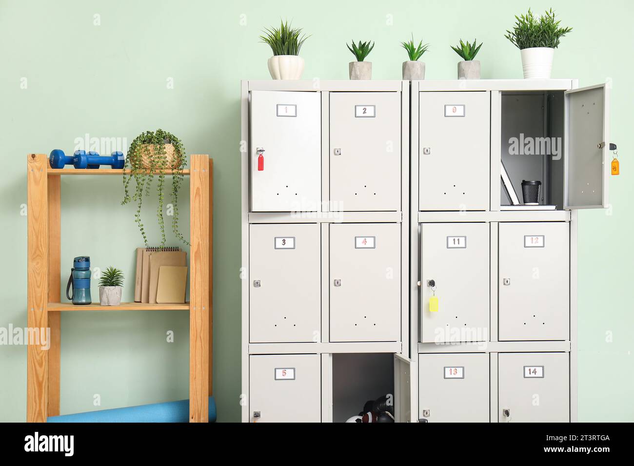 Modern locker and shelving unit with sports equipment near green wall ...