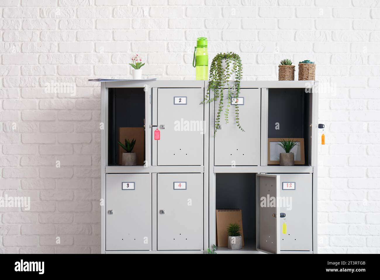 Modern locker with plants near white brick wall Stock Photo - Alamy