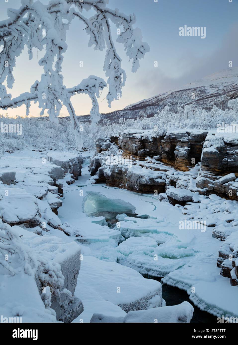 Snow covered Abisko Canyon in winter in the Abisko National Park ...