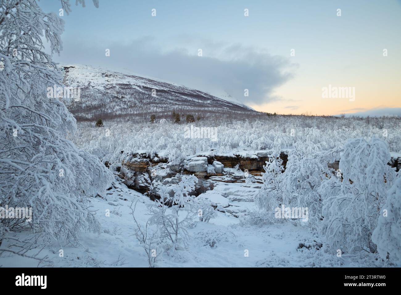 Snow covered Abisko Canyon in winter in the Abisko National Park ...