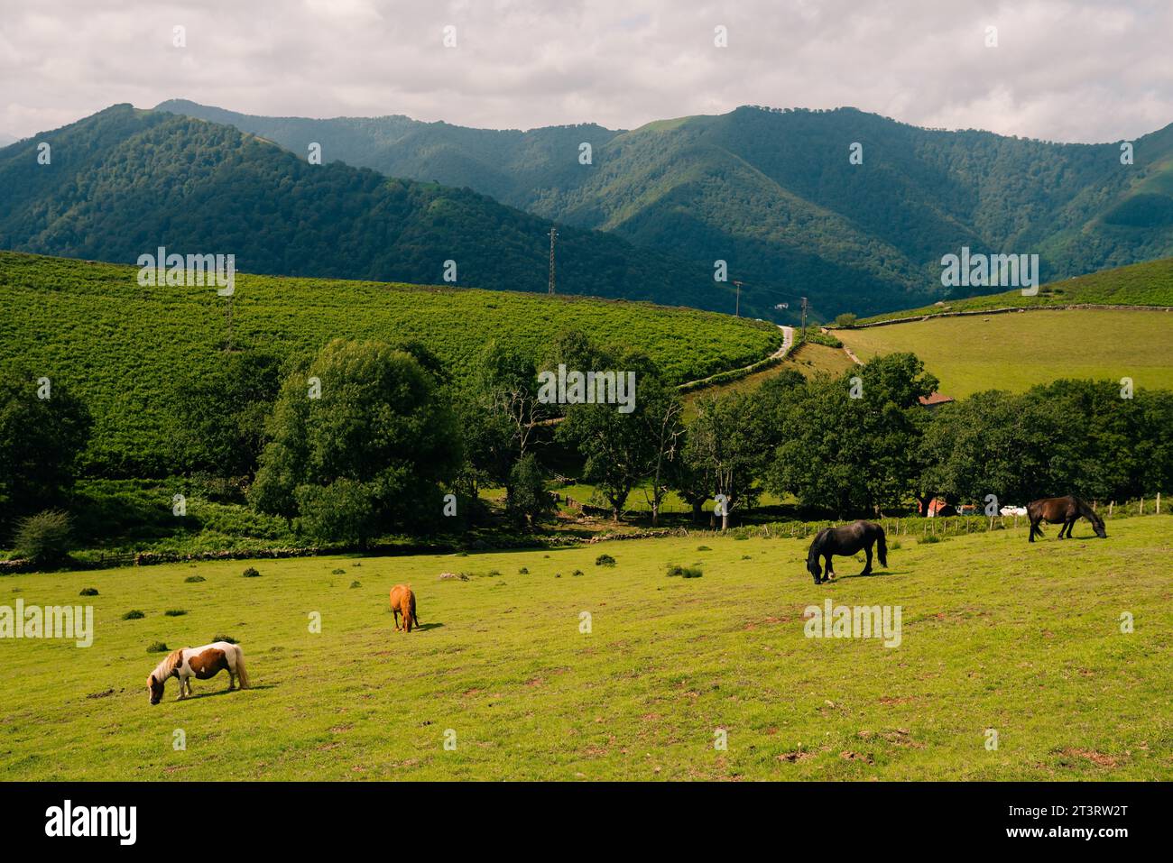 French countryside landscape in the Pyrenees mountains in Basque ...