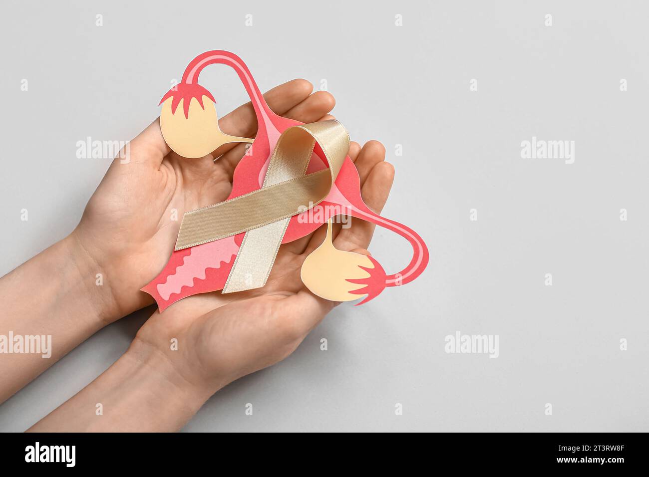 Female hands paper uterus hi-res stock photography and images - Alamy