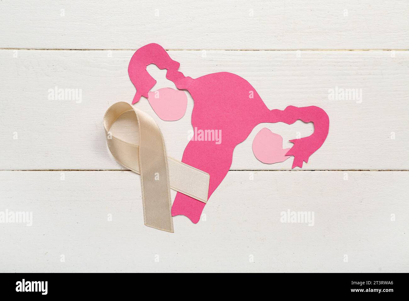 Beige ribbon with paper uterus on white wooden background. Cancer ...