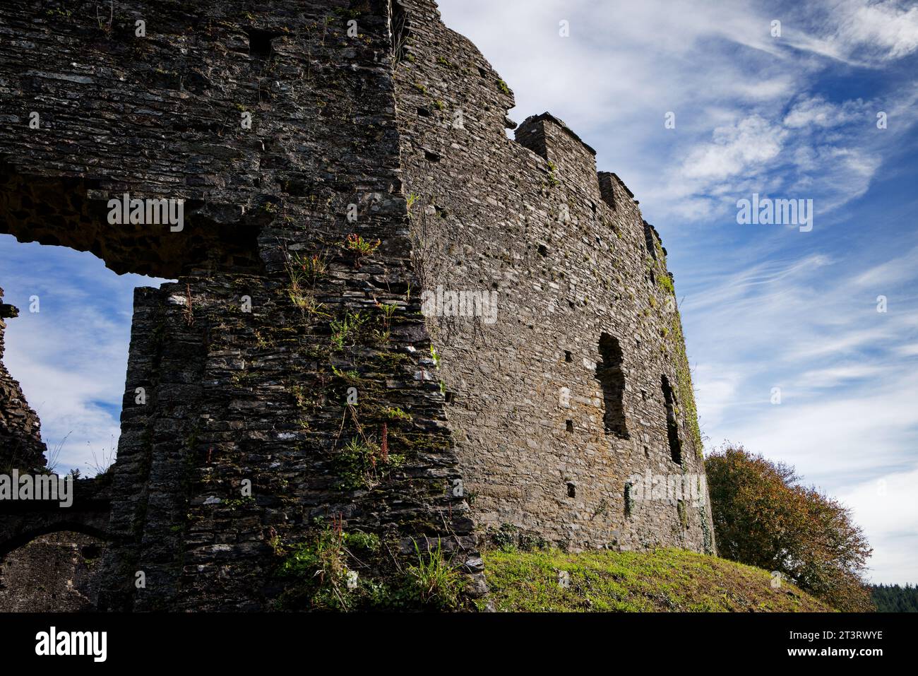 Restormel Castle, Lostwithiel, Cornwall Stock Photo - Alamy