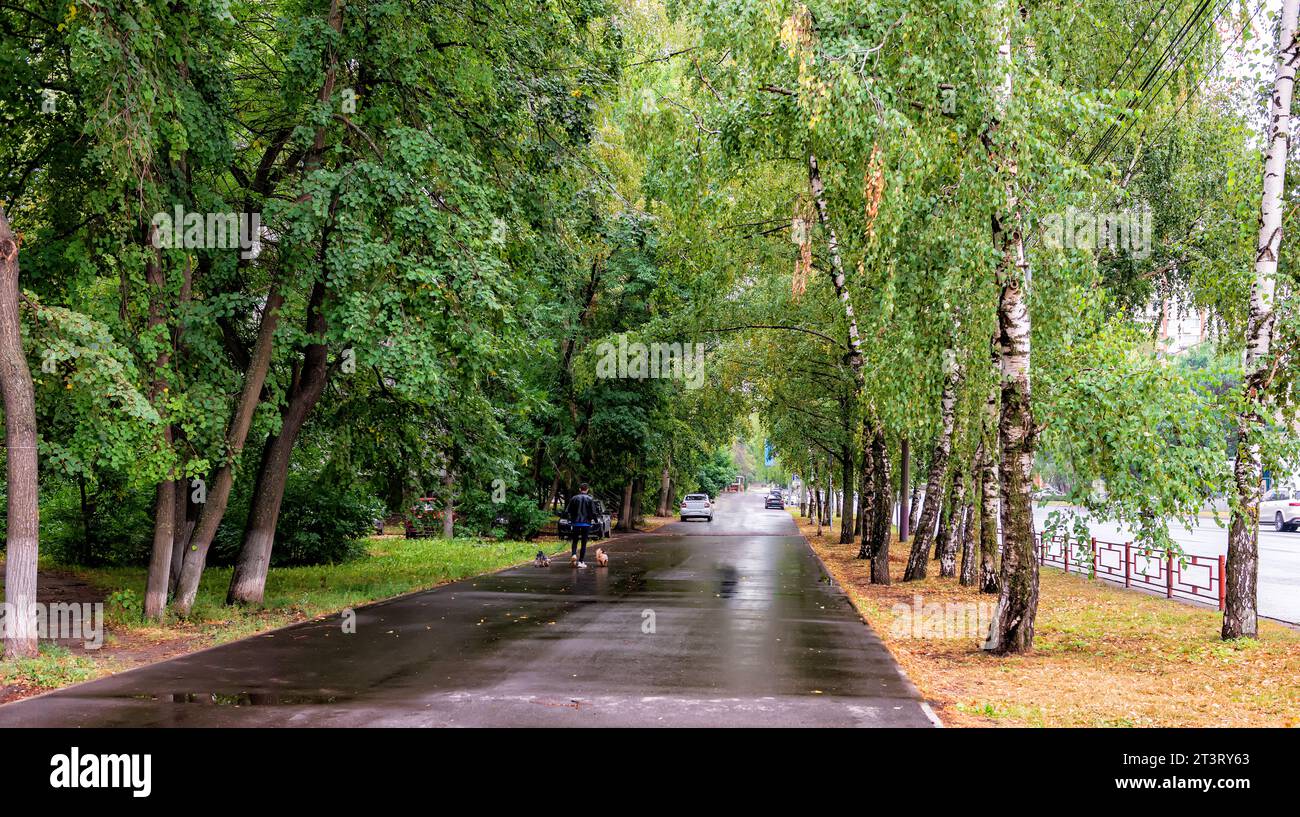 Street named after Pushkin in Penza Stock Photo - Alamy
