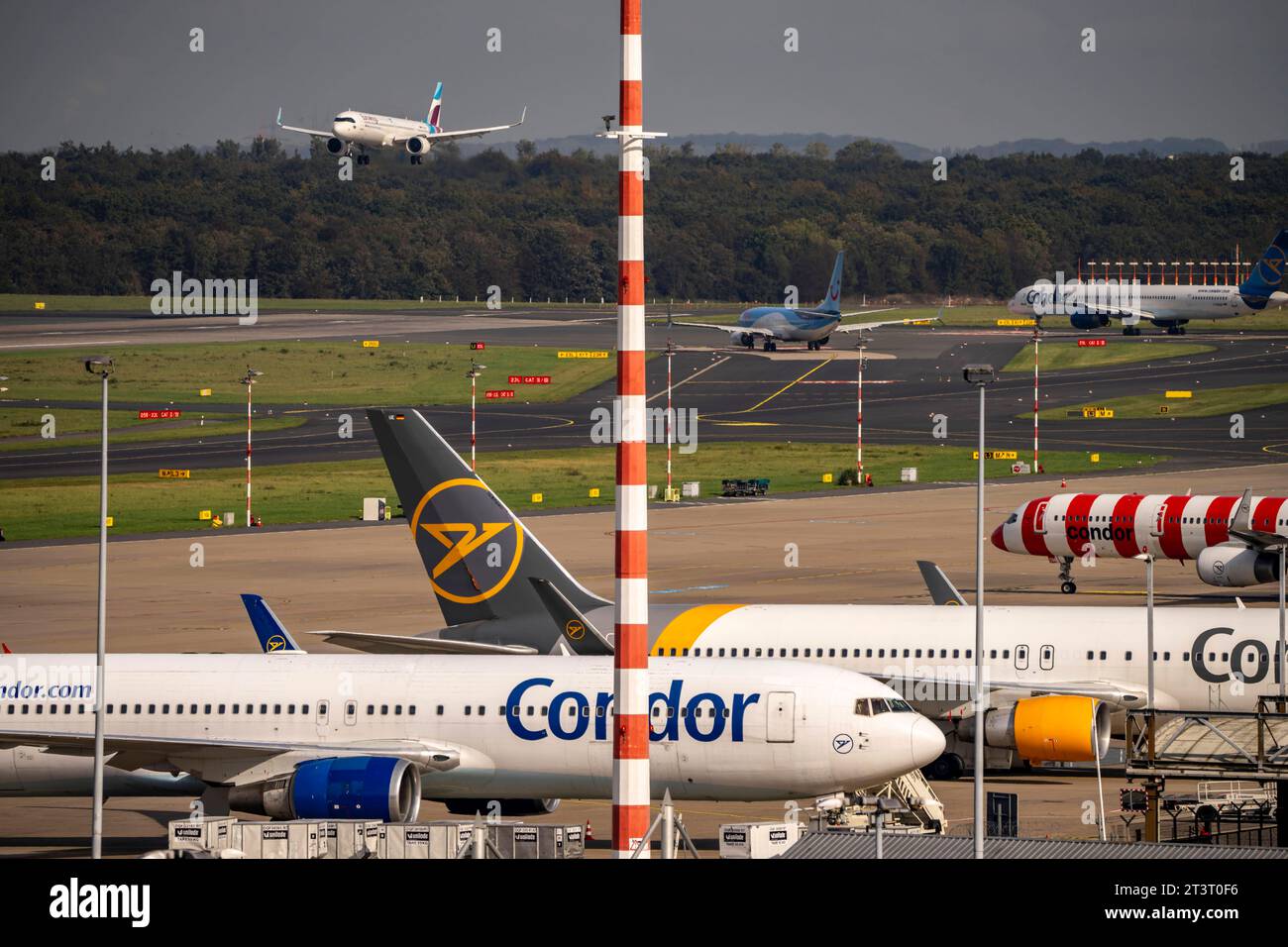 Flughafen Düsseldorf, Eurowings Airbus im Landeanflug, Condor und TUIflay Jets warten am Taxiway ...