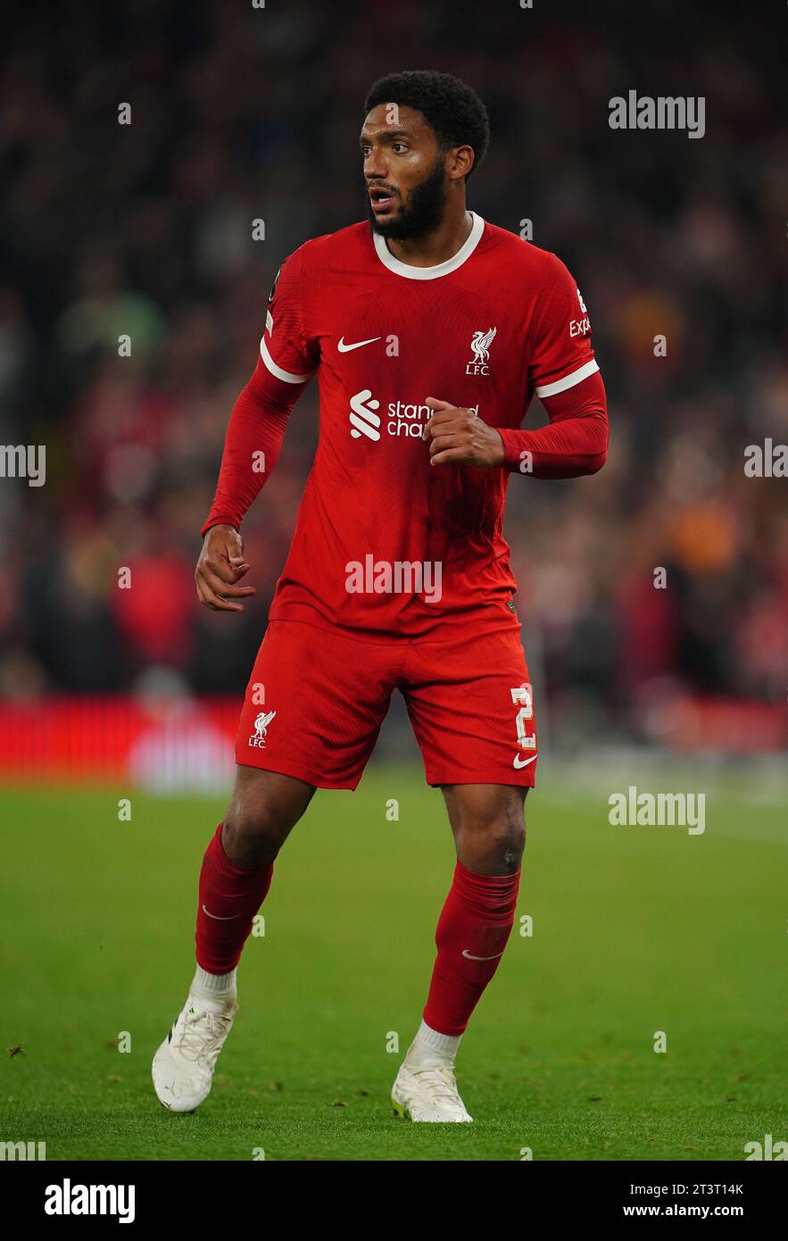 Joe gomez liverpool october 2023 hi-res stock photography and images ...
