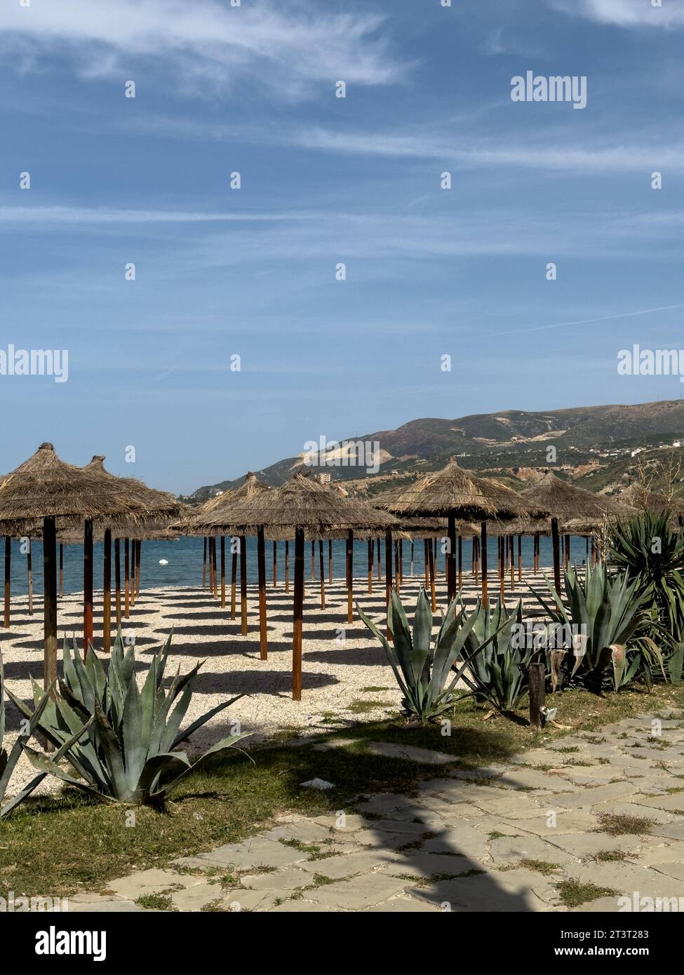 Reed or straw beach umbrellas in rows on the beach with shadows on sand ...