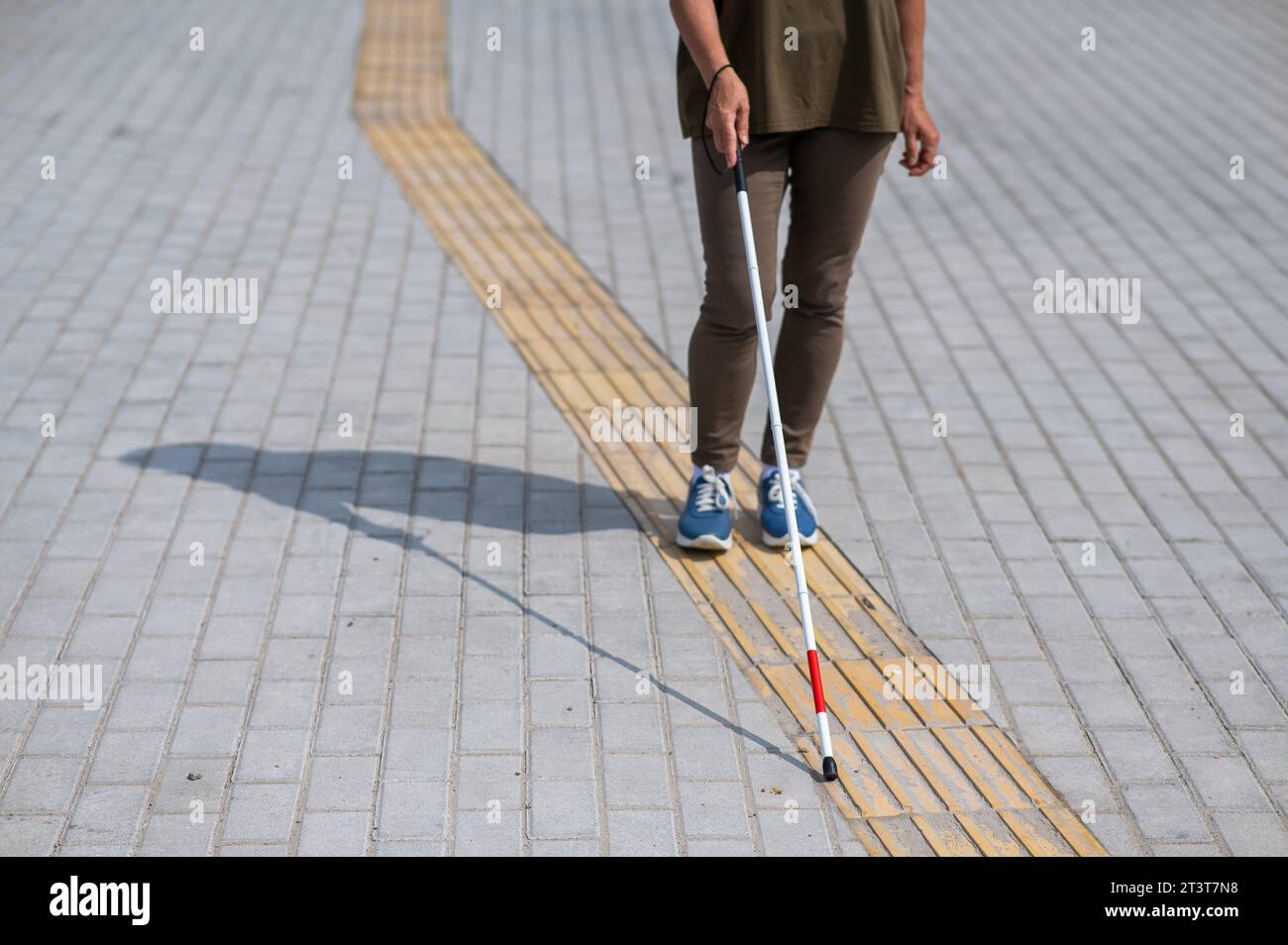 Close-up of the legs of an elderly blind woman with a cane at a tactile ...