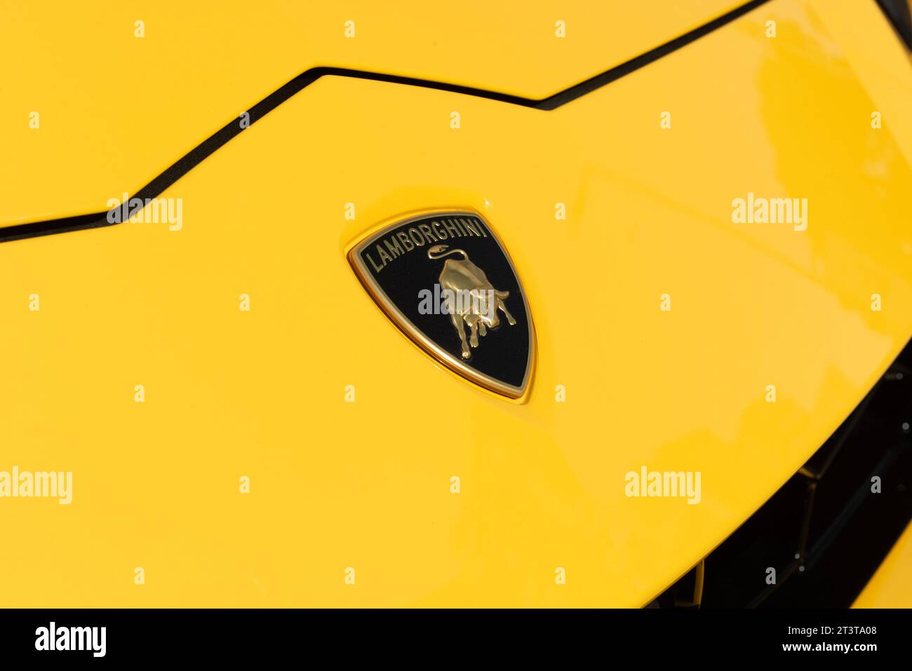 Lamborghini Bull Logo Yellow